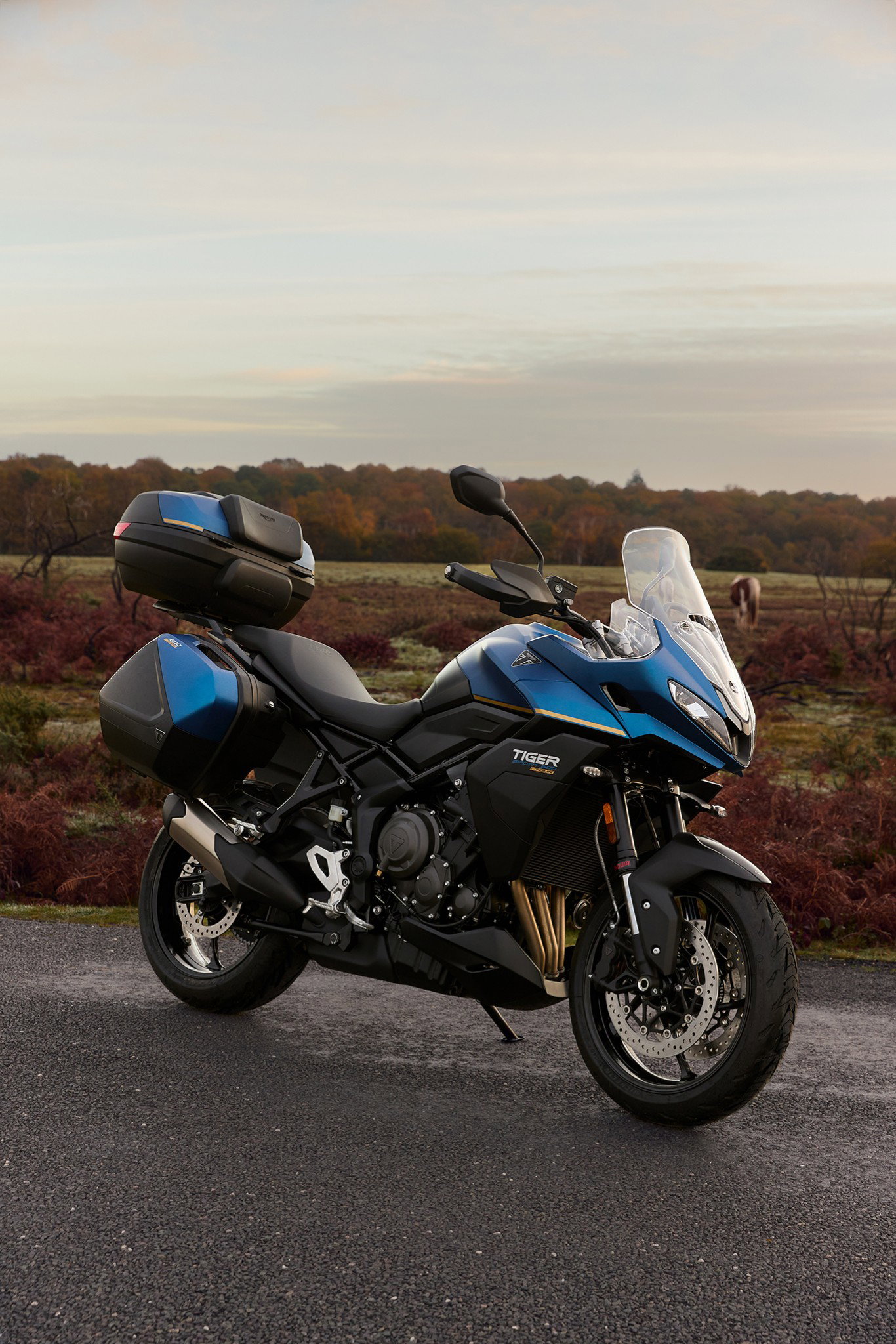 Triumph Tiger Sport 800 Tour 2026: Touring upgrade with full equipment