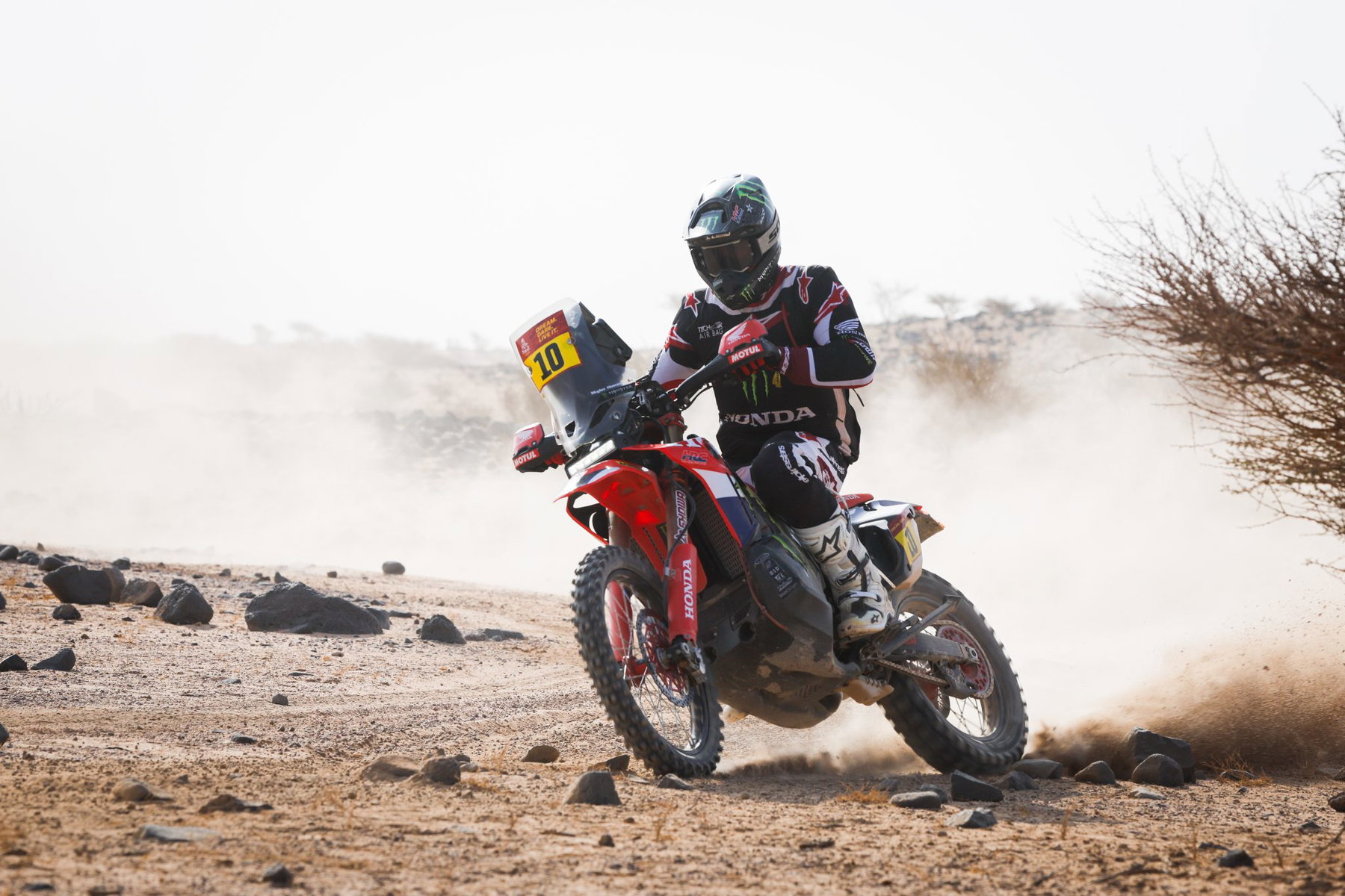 Dakar Rally 2026 Stage 11: Howes wins, Benavides takes the lead