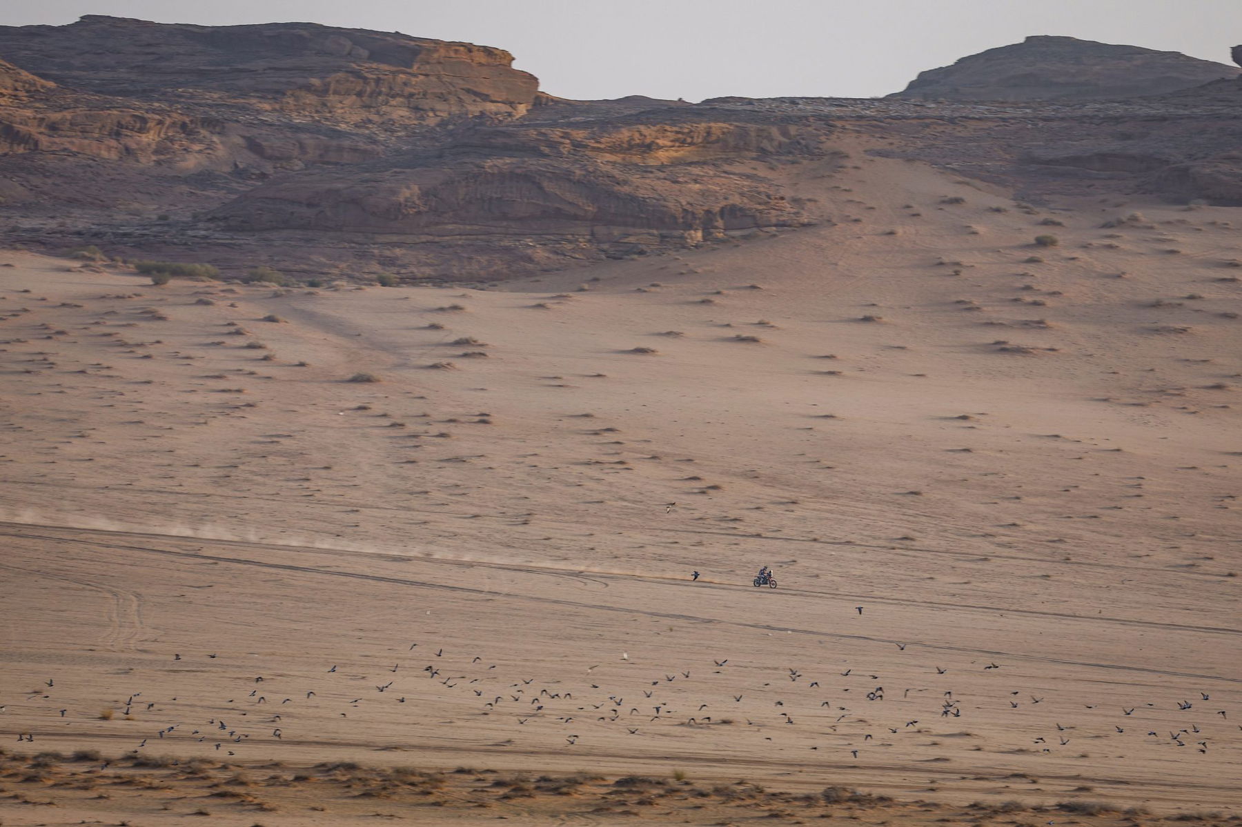 Dakar Rally 2026 Stage 4: Honda takes the lead, Sanders loses top spot